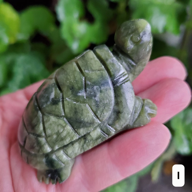 Serpentine Jade Turtle Intuition Rebirth Guides Us to Our - Etsy
