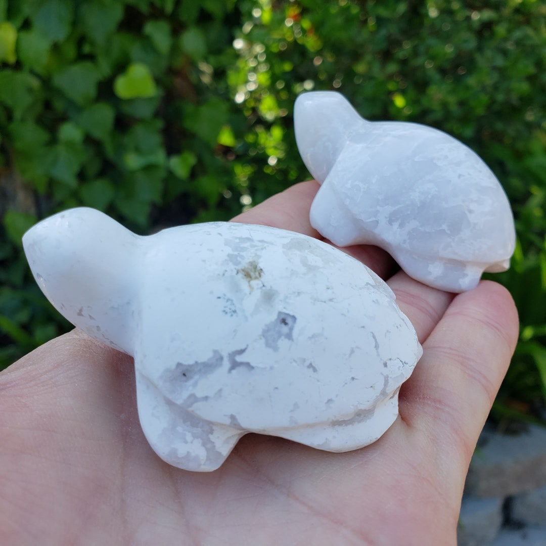 Snow Agate Turtle - Balances Females Ying Yang Energy - White Plume ...