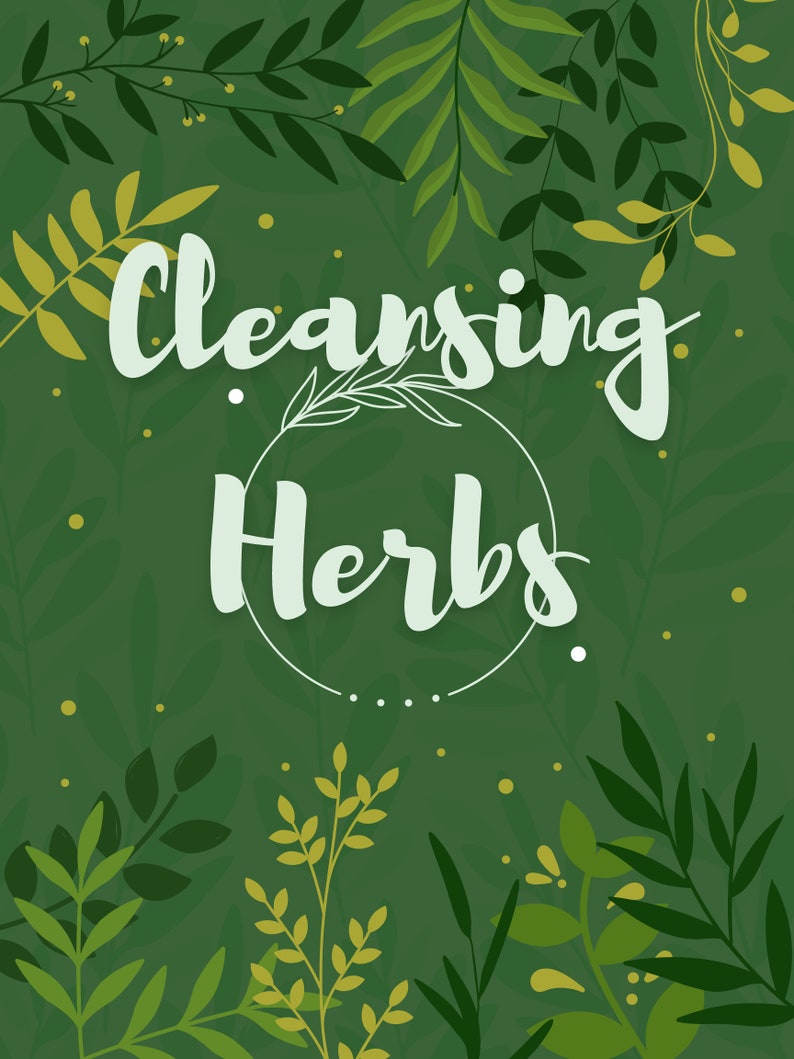 Cleansing Herbs Cheat Sheet! - Etsy