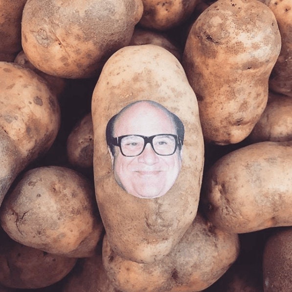 Potato Pal Your FACE on a Potato Send Us Your Image - Etsy