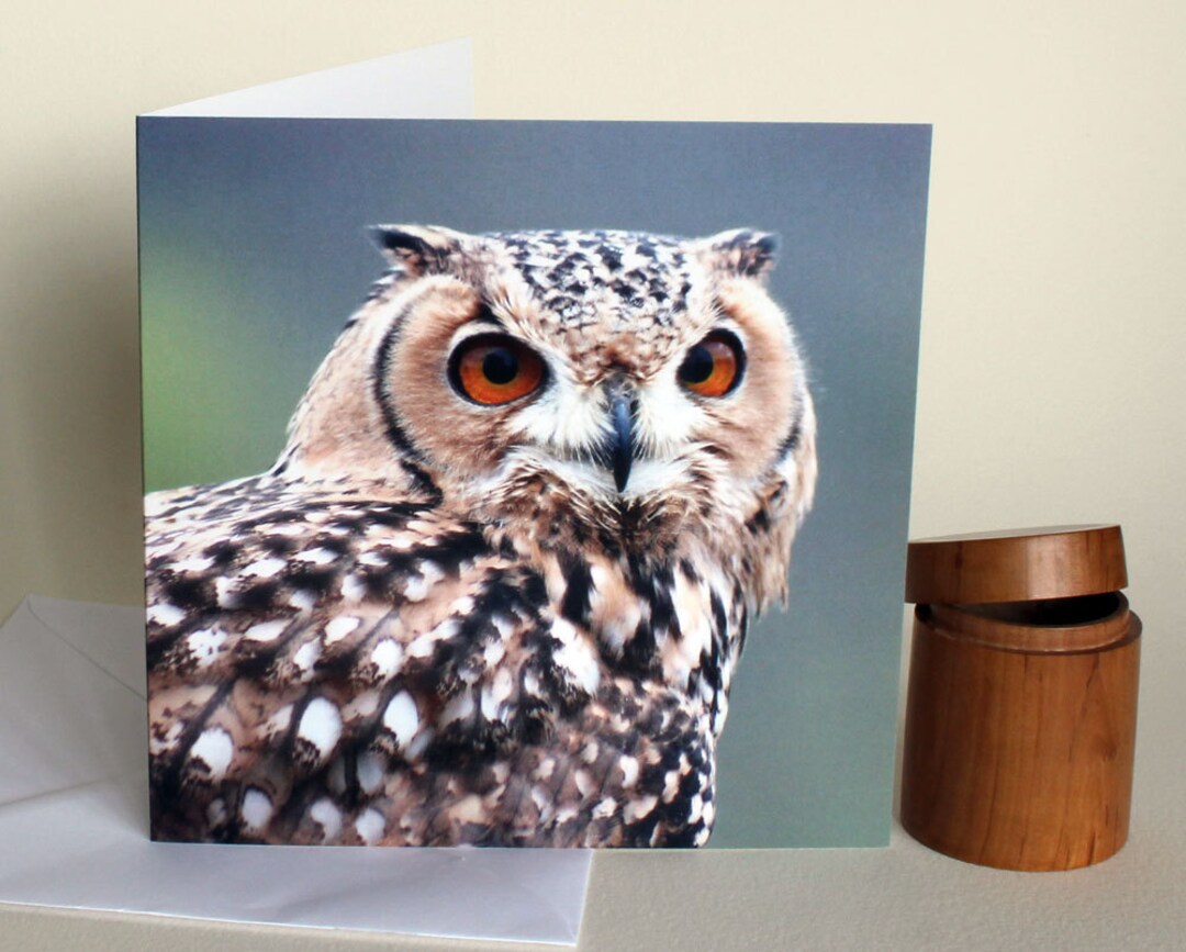 Eagle Owl - a Wildlife Themed Greetings Card. Celebration. Photographic ...