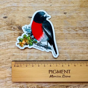 Sticker Set, Tasmania, Bird Stickers, Gift Idea, Australia, Bumper ...