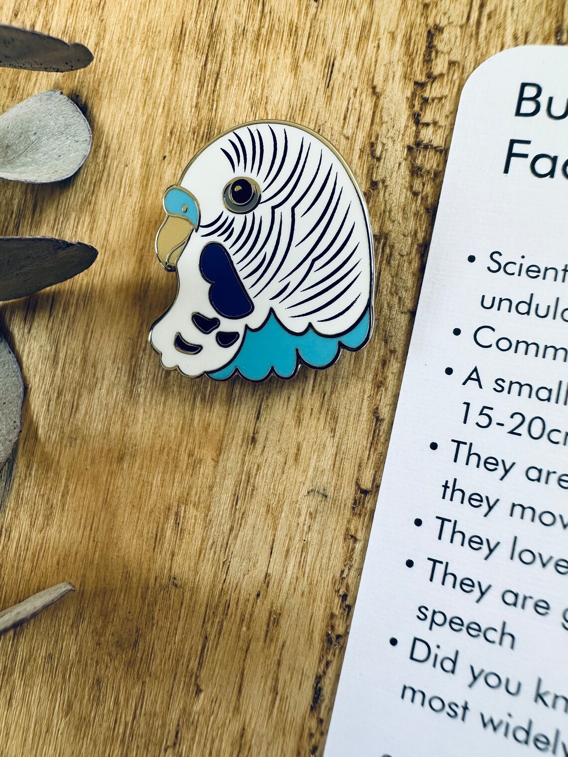 Budgie, Budgerigar, Enamel Pin, Australian Bird, Pin Collection, Bird ...