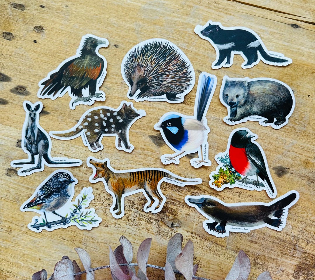 Tasmania Animals, Bird Sticker, Gift Idea, Nature Lover, Bumper ...
