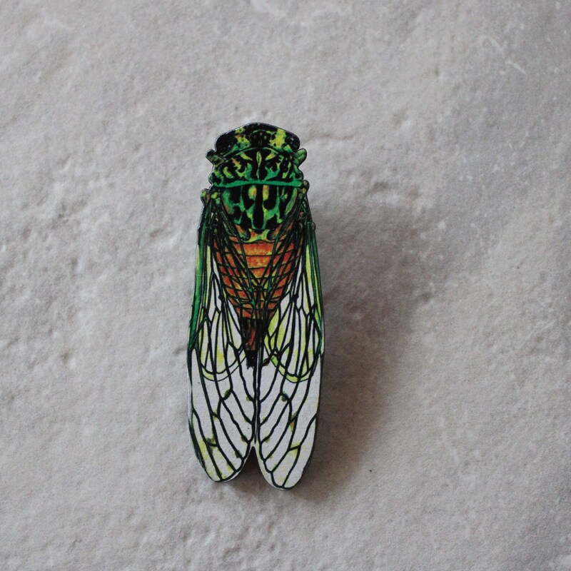 Cicada Brooch - Etsy