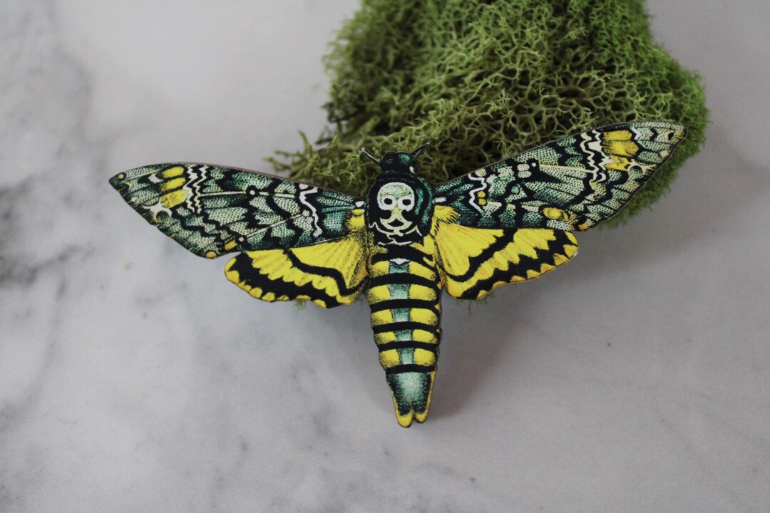 Death Head Moth Pin, Moth Pin, Jewelry, Gift for Her, Holiday, Summer ...
