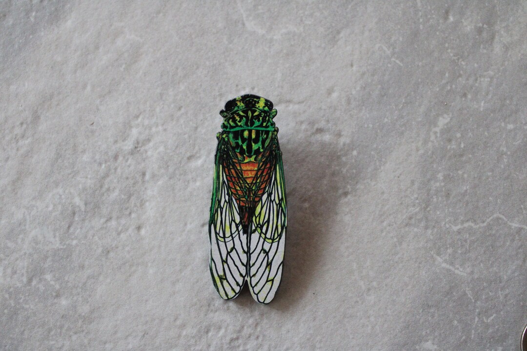 Cicada, Cicada Pin, Cicada Brooch, Wood Pin, Wood Brooch, Pin Under 10 ...