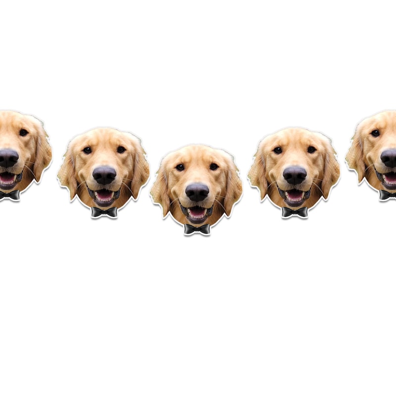 Dog and Human Bows - Etsy