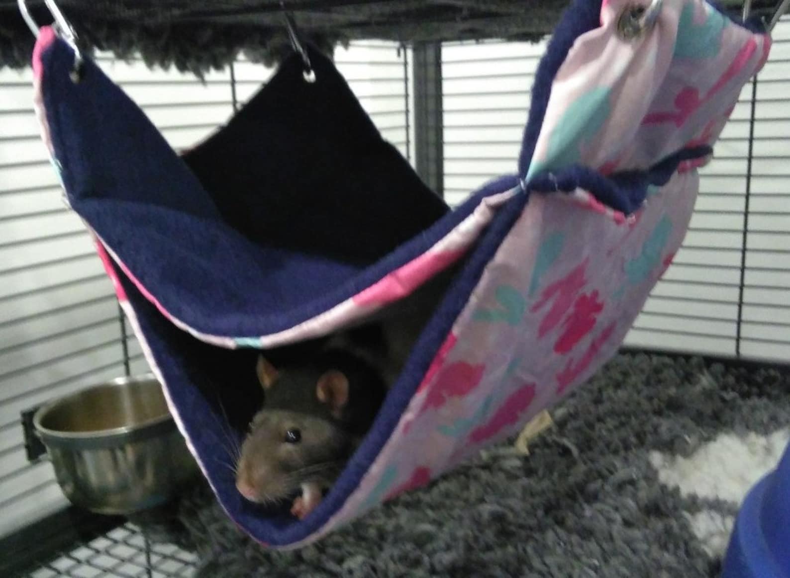 Double Decker Hammocks for Rats and Other Small Animals - Etsy