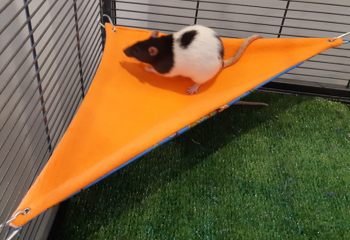 Simple Corner Hammocks for Rats and Other Small Animals - Etsy Australia