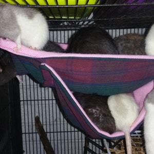 Double Decker Hammocks for Rats and Other Small Animals - Etsy