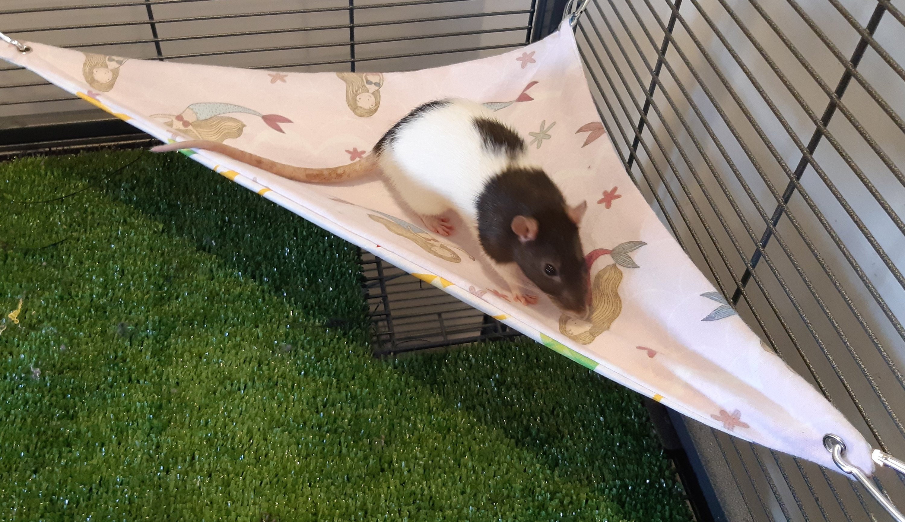 Simple Corner Hammocks for Rats and Other Small Animals - Etsy Australia