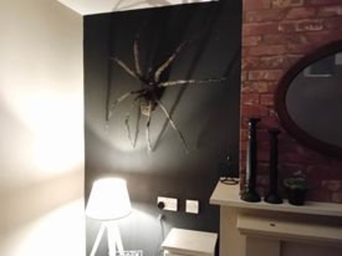 Giant Spider Wire Sculpture. - Etsy