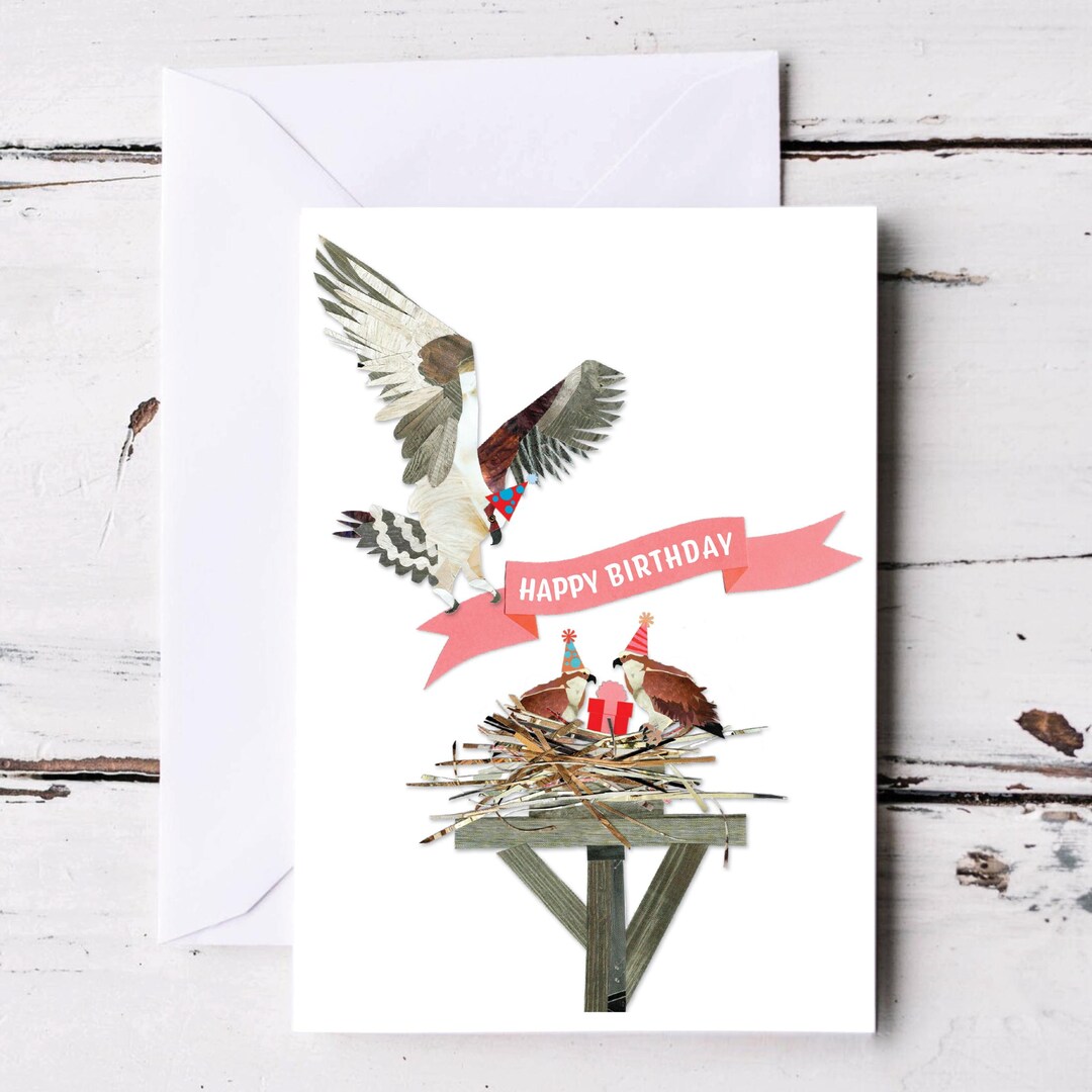 Osprey Happy Birthday - Greeting Card - Etsy