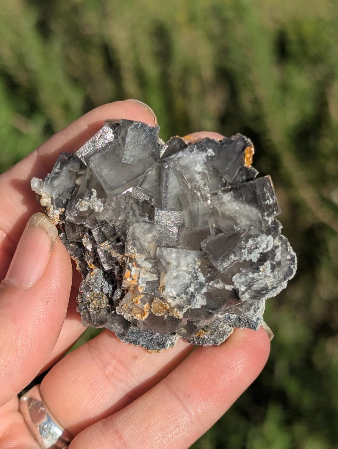 Beautiful Fluorite Crystal Cluster From Boulder Hill Mine in Nevada - Etsy