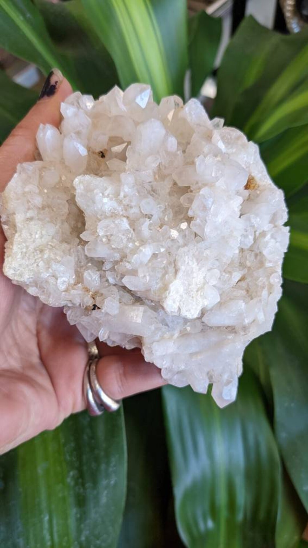 Large Natural Quartz Crystal Cluster From Rutledge Georgia - Etsy