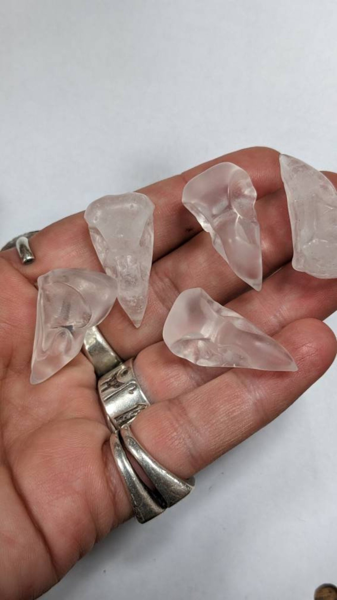 Clear Quartz Raven Skull Carving - Etsy