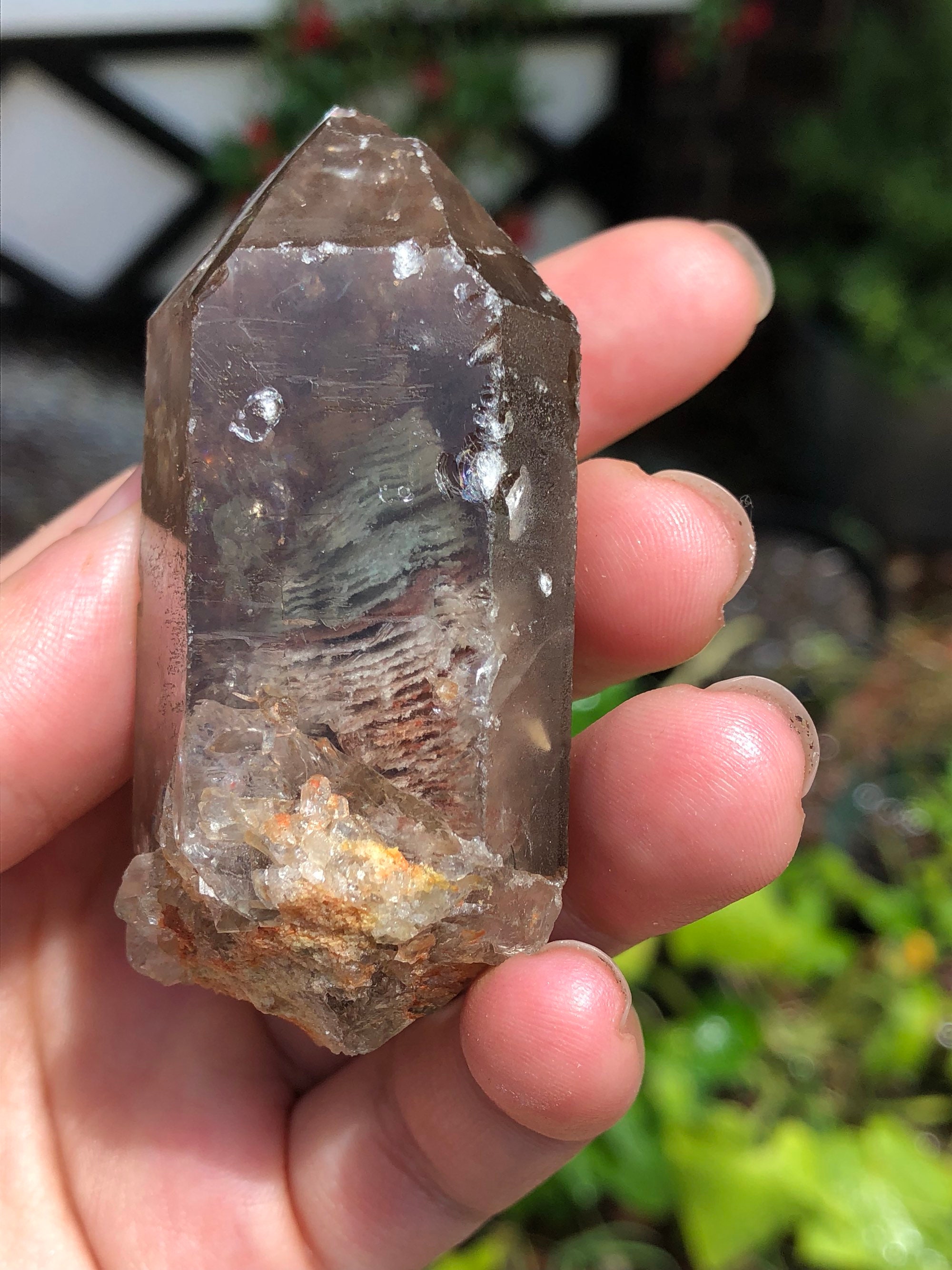 Natural raro Navidad cristal de cuarzo ahumado con fantasmas - Etsy España