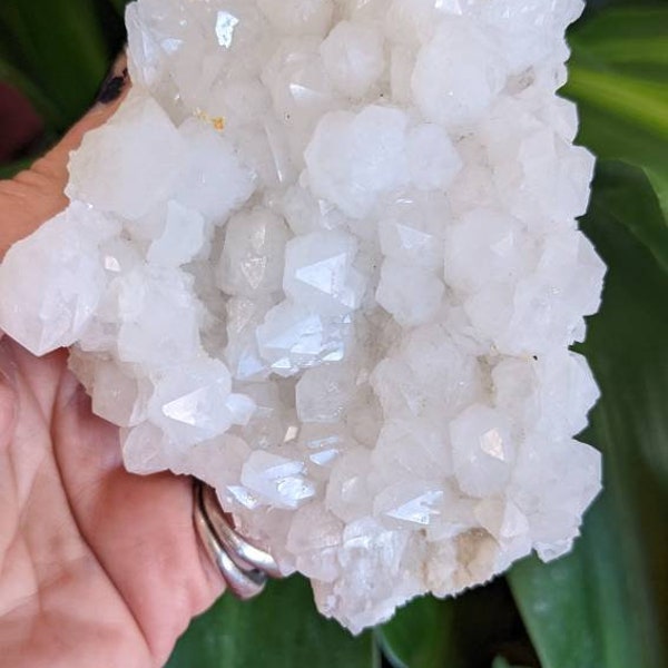 Skeletal Quartz - Etsy