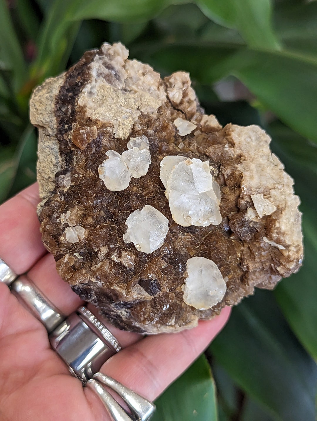 Poker Chip Calcite Crystals, on Brown Calcite and Septarian Nodule ...