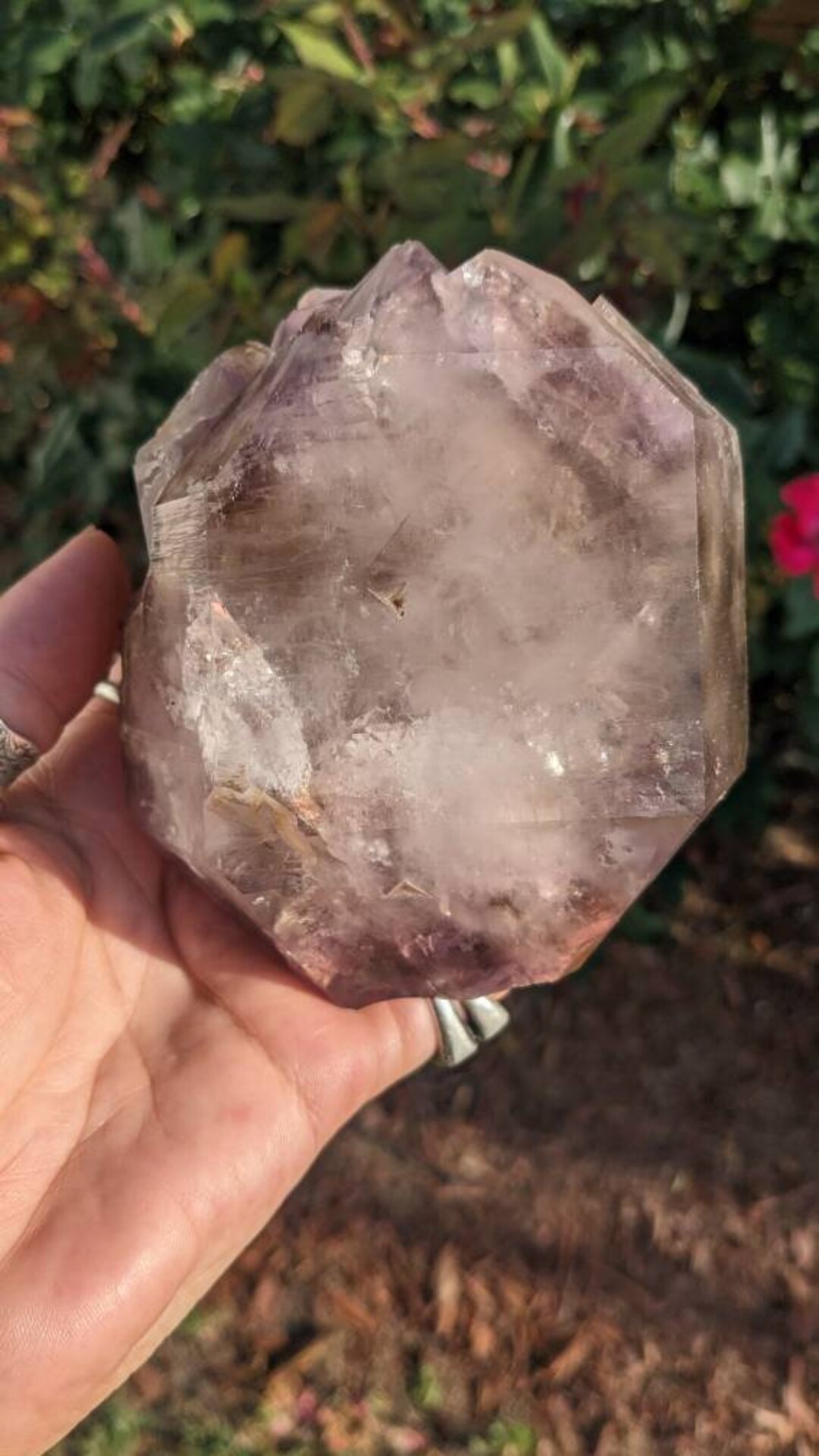 Large DT Amethyst Crystal W Moving Enhydro Bubble, Diamond Hill Mine ...