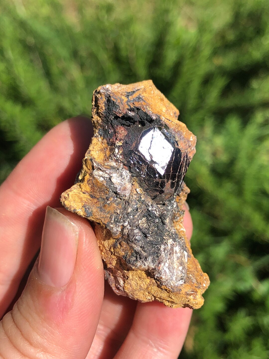 Rutile in Matrix From Graves Mountain, Georgia - Etsy