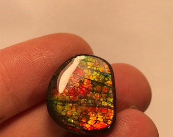Ammolite Cabochon - Etsy