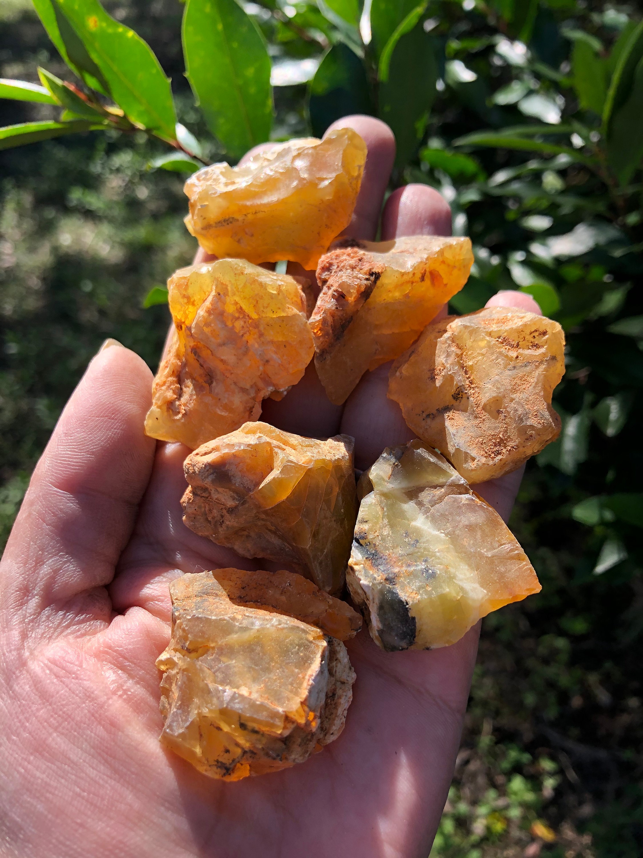 Yellow Opal from Tanzania Raw Natural Rough 1 | Etsy