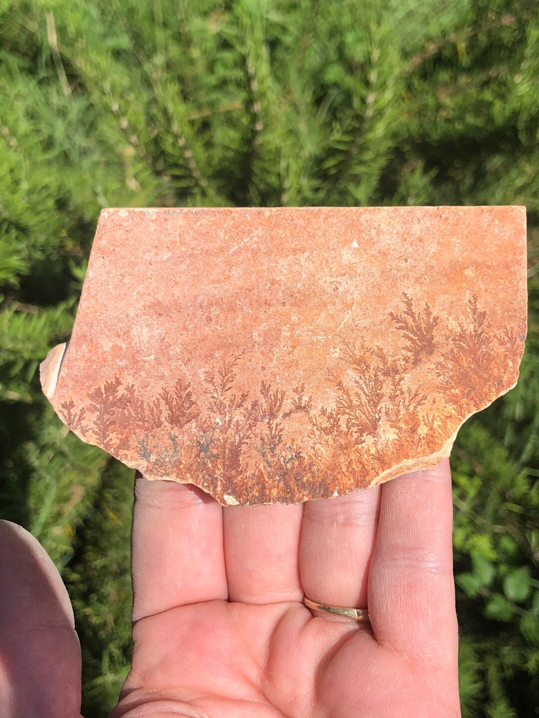 Dendritic Limestone “print Stone” Slab - Etsy