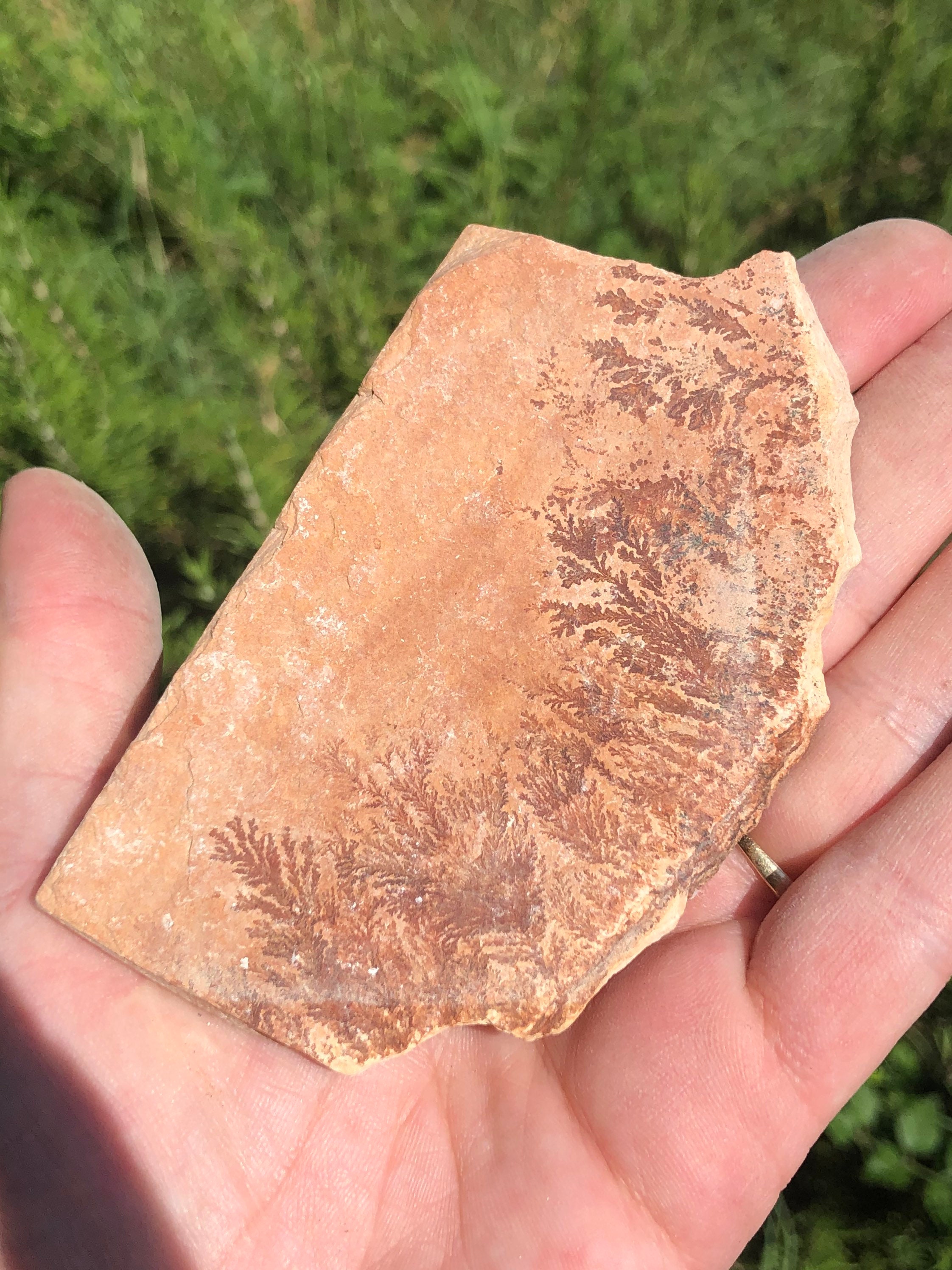 Dendritic Limestone print Stone Slab - Etsy