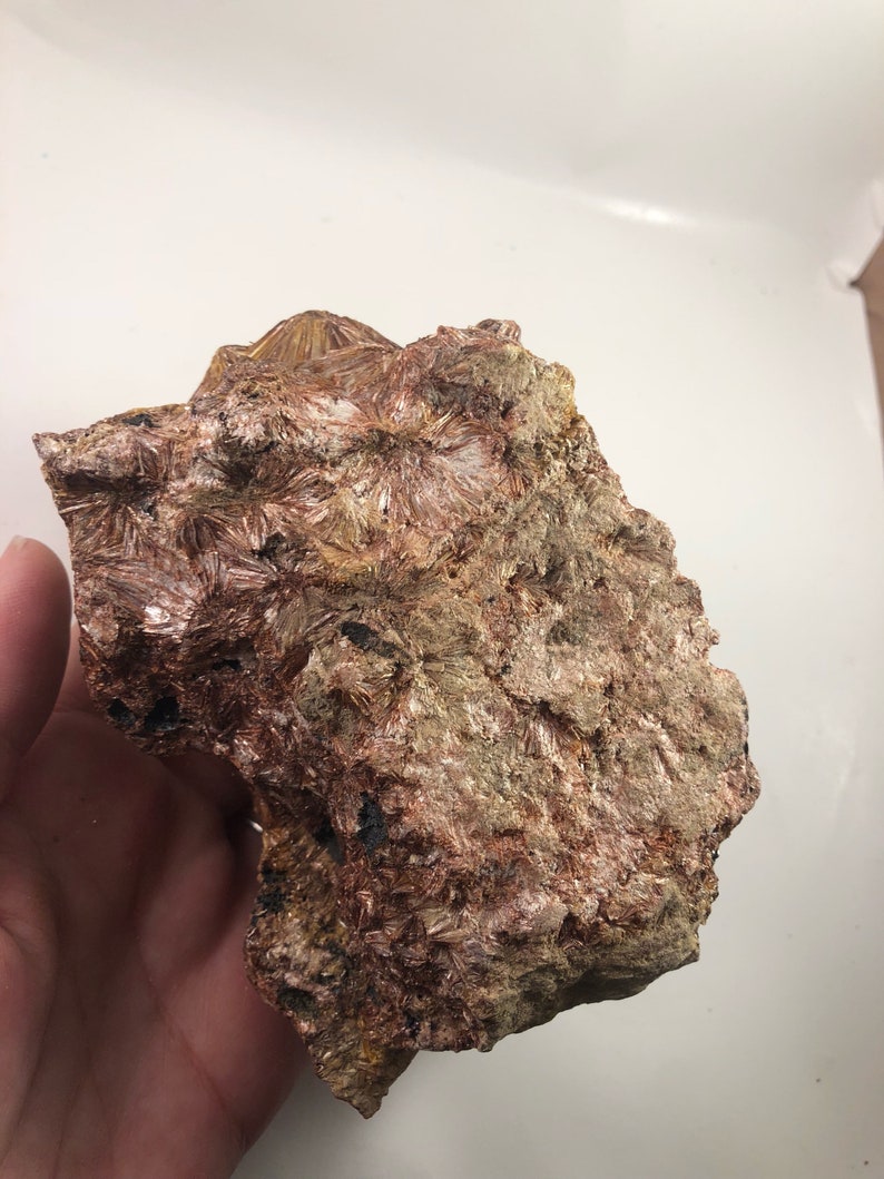 Pyrophyllite from Randolf County NC | Etsy