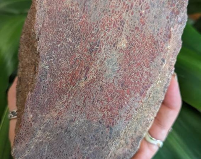 1 Lb. Dinosaur Bone Slab | Gem Bone | Agatized Silicated Dinosaur Bone ...