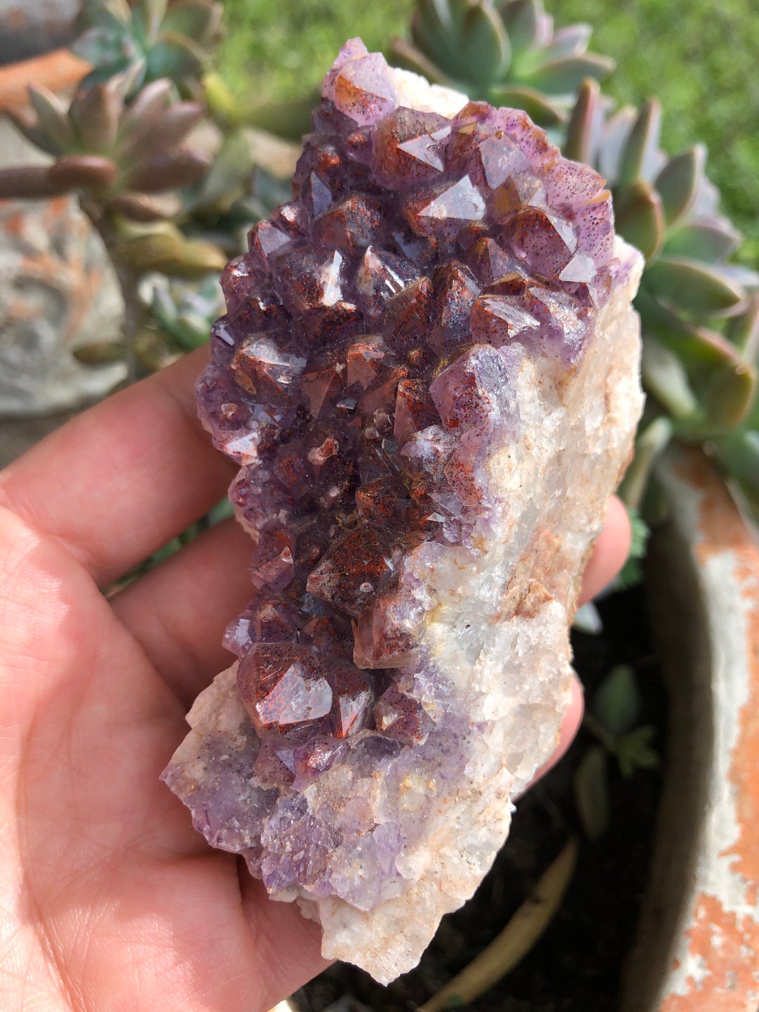Thunder Bay Amethyst Crystal Cluster From Canada - Etsy