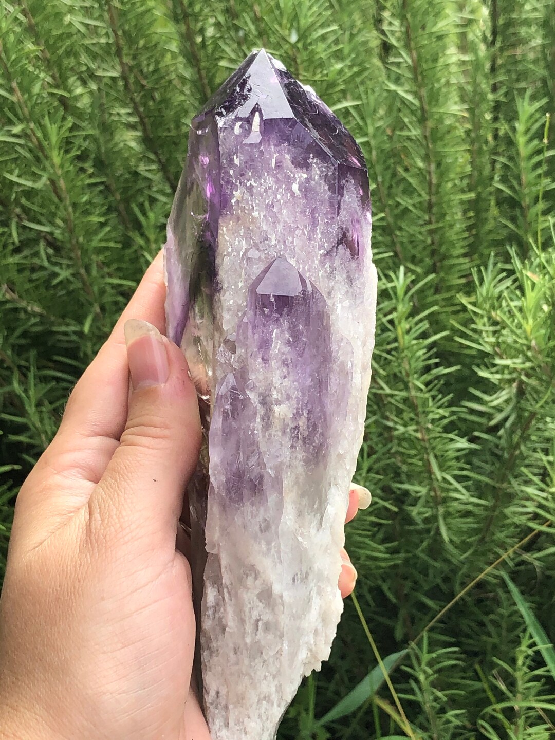 Large Bahia Amethyst Lazer Wand Crystal - Etsy
