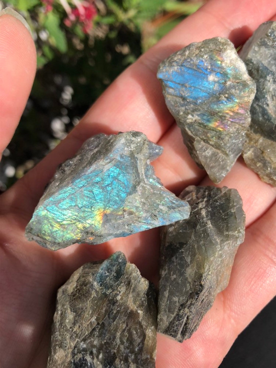 Raw Natural Rough Labradorite 1 Piece - Etsy