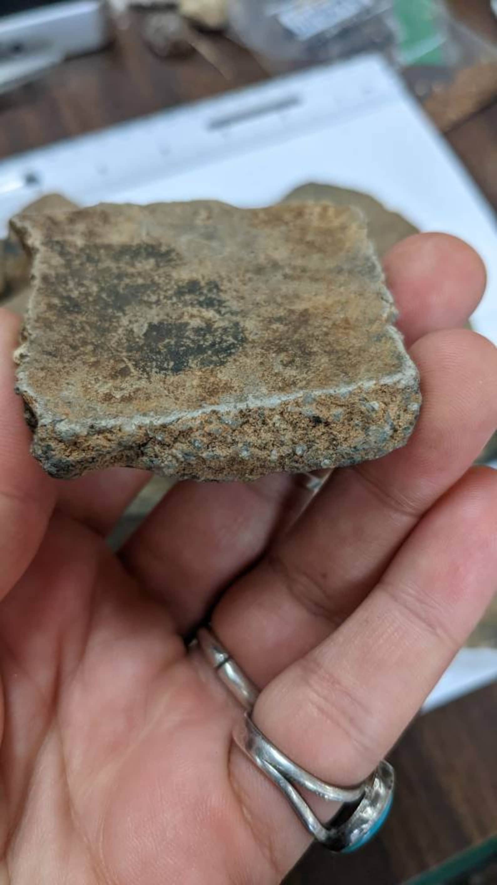 Native American Pottery Shards Alabama - Etsy