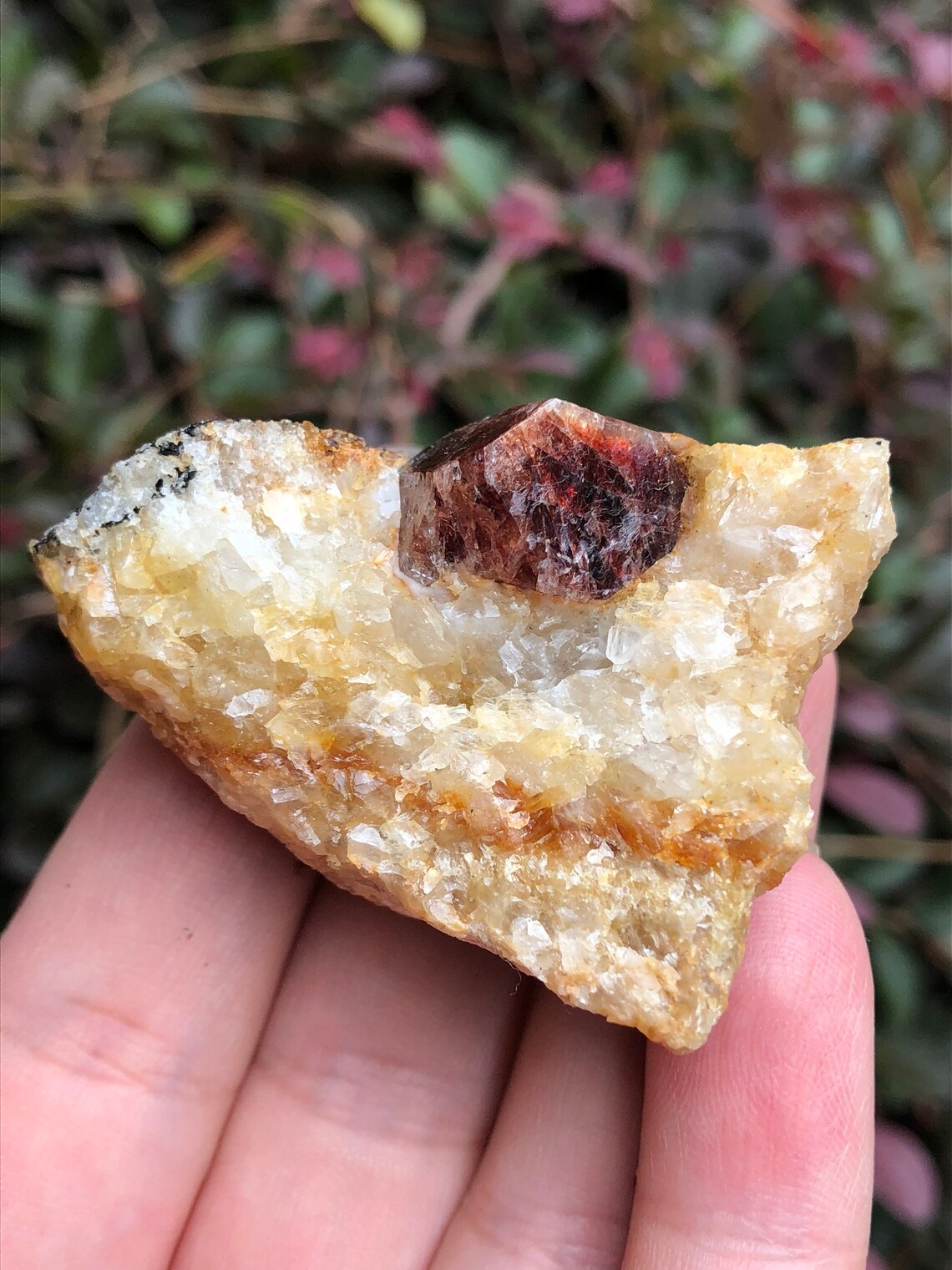 Red Zircon Cystal in Matrix - Etsy