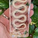 Real Snake Skeleton, Preserved in Resin, Collectible Modern Fossil - Etsy