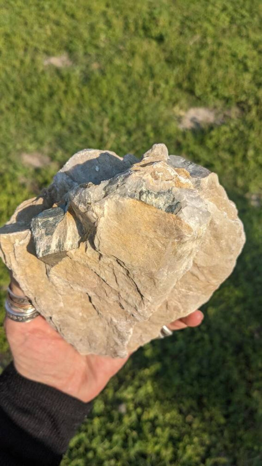 Pyrite Crystal in Matrix, Large Specimen From North Carolina - Etsy