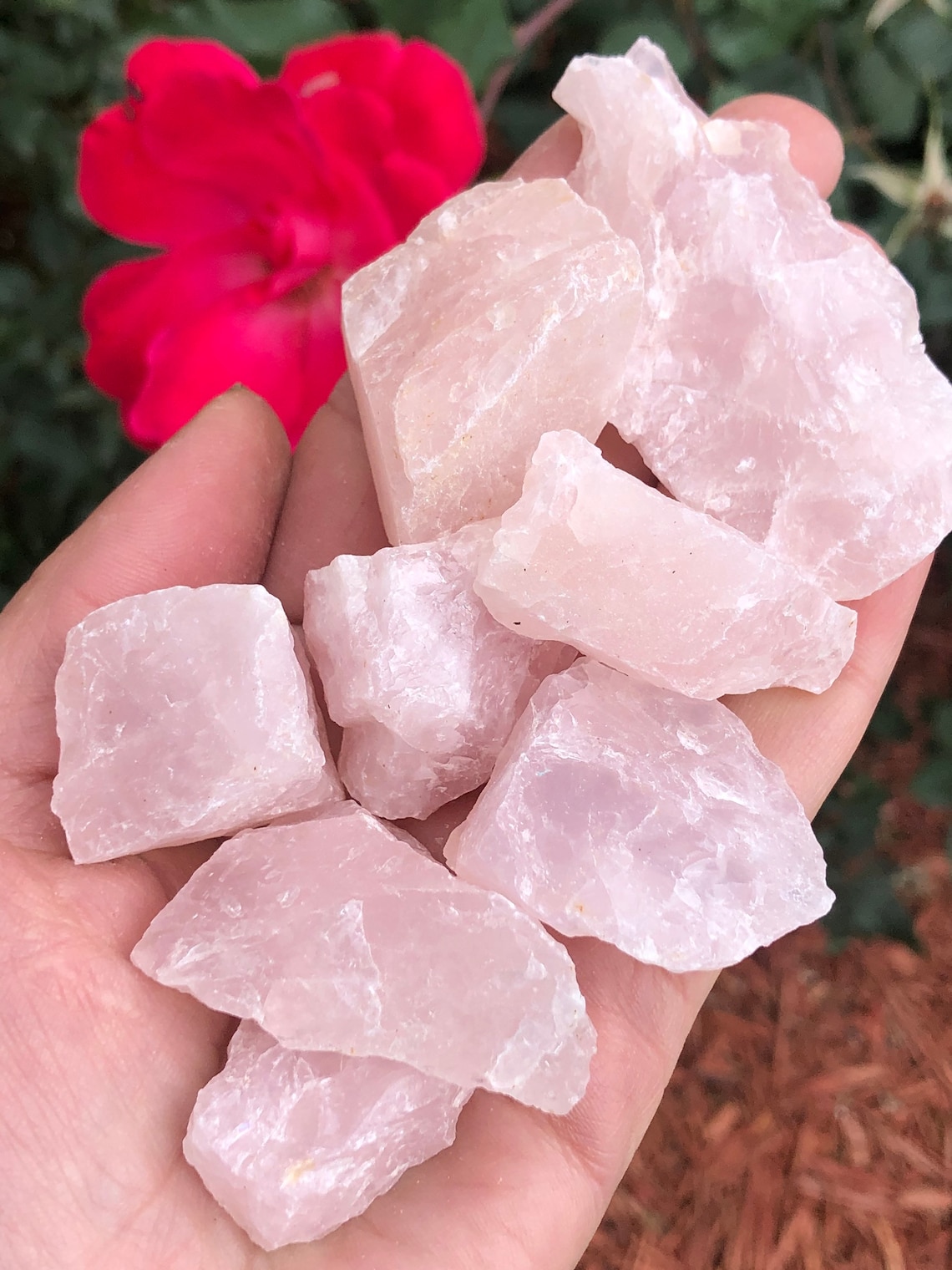 1lb Rose Quartz Crystal Stones - Etsy