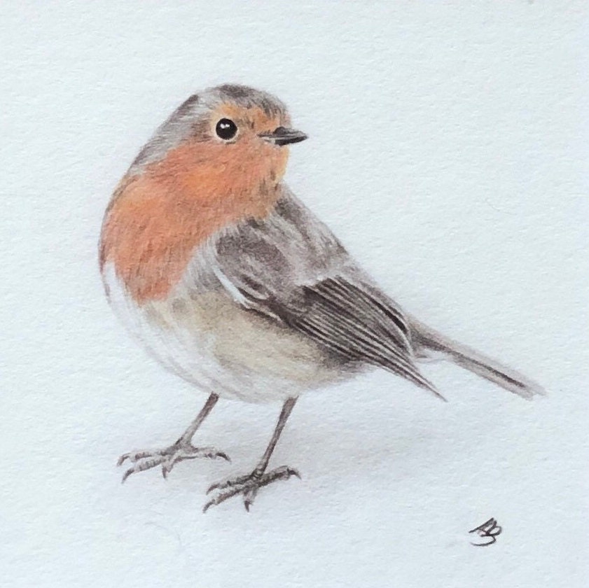 Robin mounted fine art print Artwork by uk artist Gift picture for ...