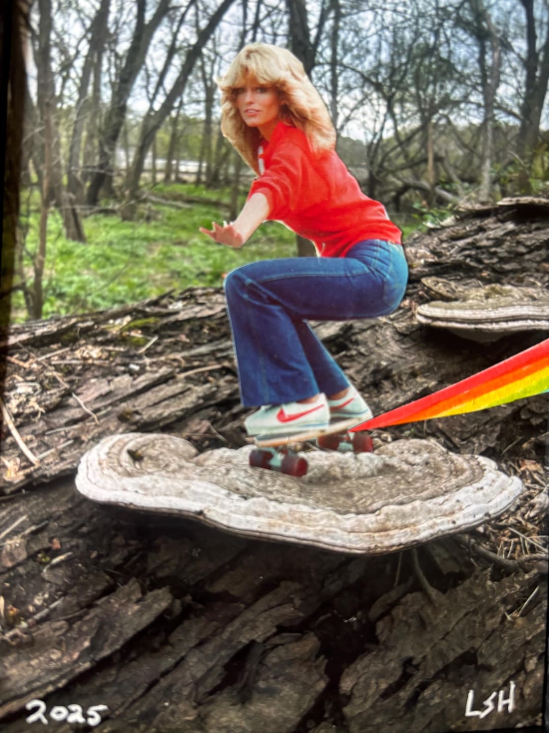 SHROOM ZOOM Original Collage Artwork 4 X 6 Framed Ready to Hang Retro ...