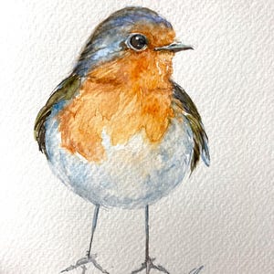 Eastern Robin Bird Watercolor Original Artwork - Etsy