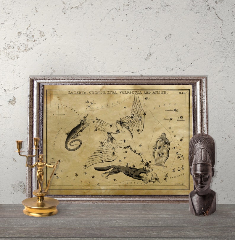 Astronomy Wall Decor Astrological Print Lacerta - Etsy