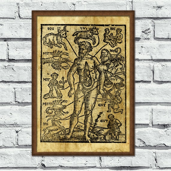The Number 12 Zodiac Alchemy Study Alchemy Occult Poster | Etsy
