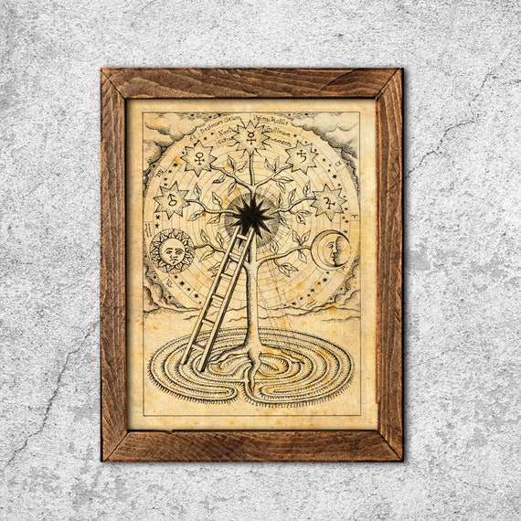 Wiccan Tree of Life Wicca Illustration Alchemy Pergament | Etsy