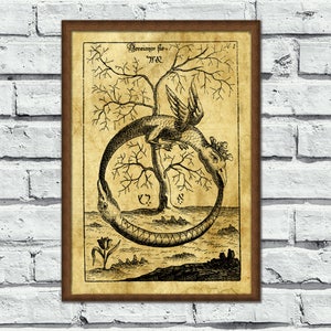 Alchemy Ouroboros Tree of Life Alchemy Occult Print Ancient - Etsy