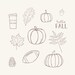 Fall Line Illustrations | Autumn Line Art | Digital Download - Etsy