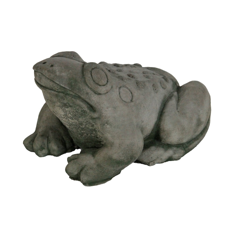 Concrete Toad - Etsy