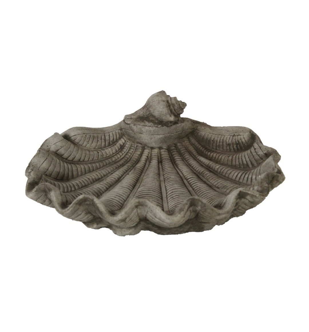 Seashell Concrete Bird Feeder Garden Bird Sculpture - Etsy